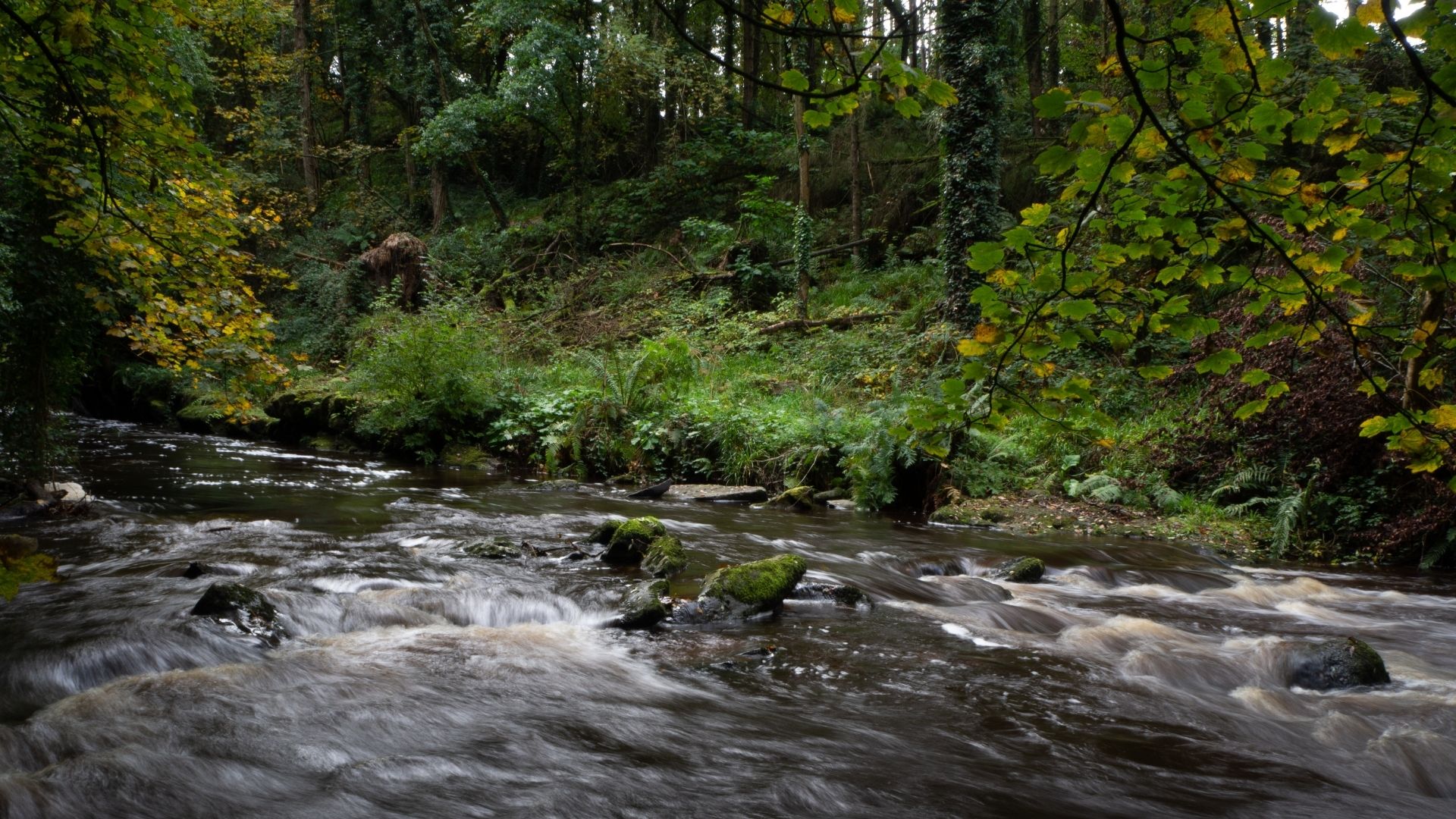 Walking Trails | Hikes in Tipperary | Ballykisteen Golf Hotel