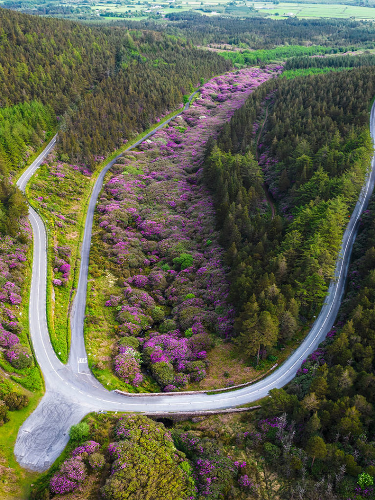 The Vee Gap in Tipperary | 4* Ballykisteen Golf Hotel & Spa