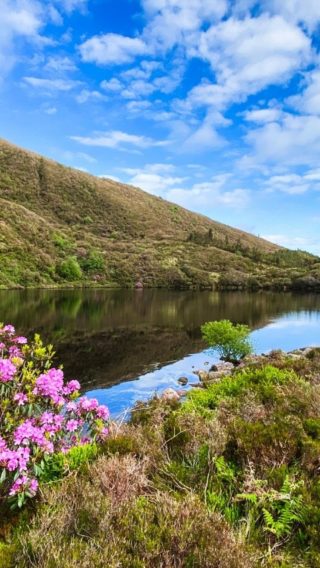 The Vee Gap in Tipperary | 4* Ballykisteen Golf Hotel & Spa