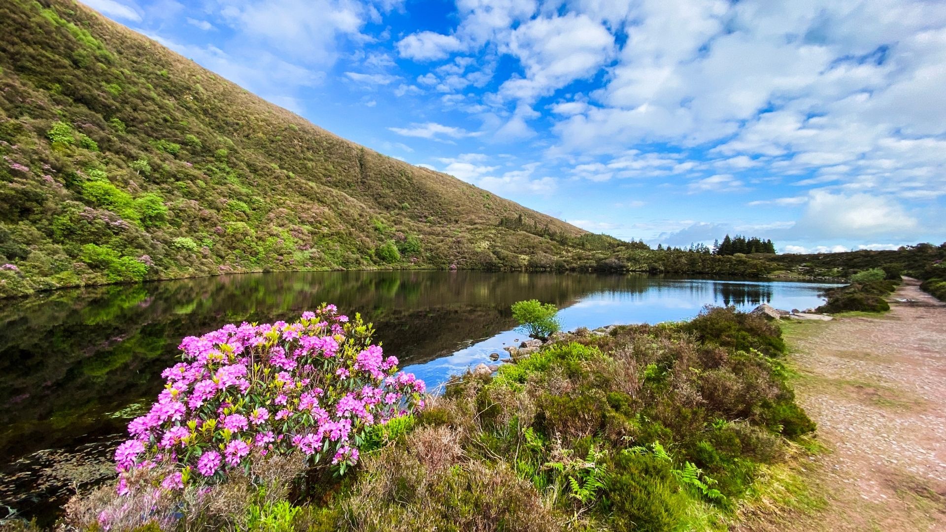 The Vee Gap in Tipperary | 4* Ballykisteen Golf Hotel & Spa